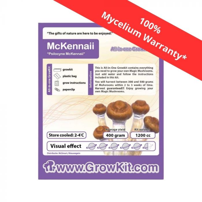 Buy McKennaii Magic Mushroom Growkit? Lowest Price at Damp-e!