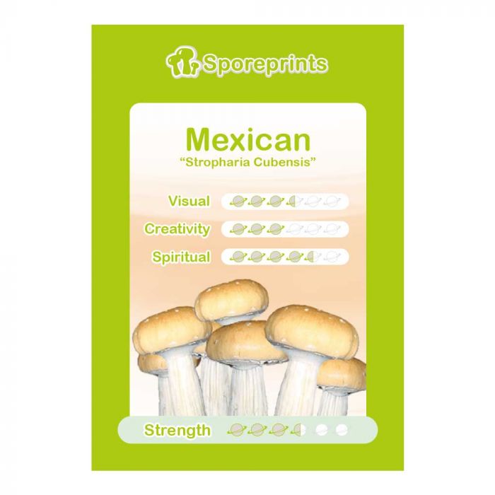 Grow Reliable with Mexican Sporeprint - Easy To Cultivate