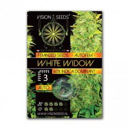 Looking to buy Vision Seeds Auto White Widow? Lowest Price - Damp-e!