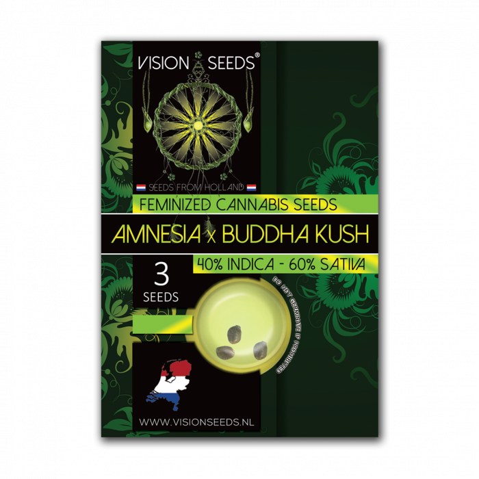 Looking to buy the Vision Seeds Feminized Amnesia x Buddha Kush? Get it ...