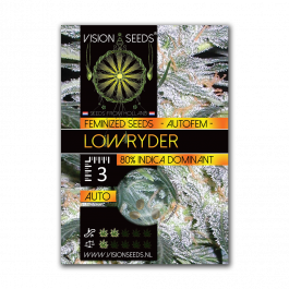 Looking to buy Vision Seeds Auto Lowryder? Lowest Price - Damp-e!